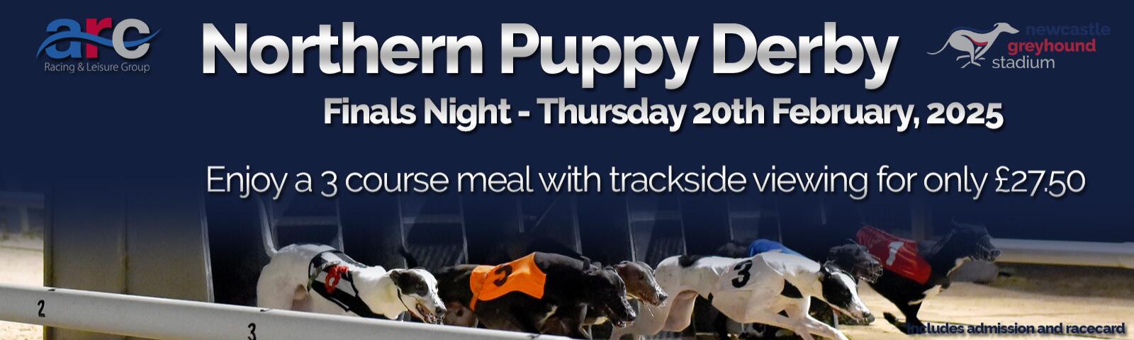 Newcastle Greyhounds | Newcastle Greyhound Stadium